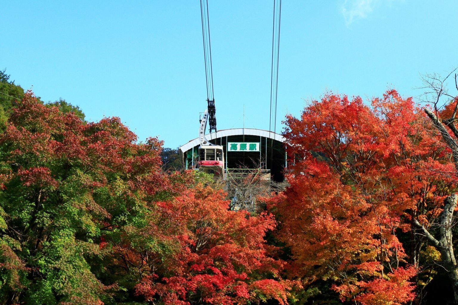 Enjoy Beppu Throughout the Year: Must-See Seasonal Events and Festivals ...